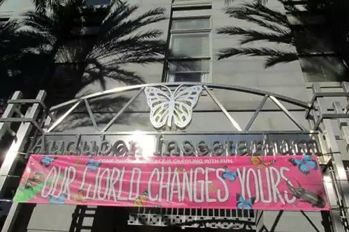 Fascinating Bug Facts! New Orleans Museum – guide2museums.com